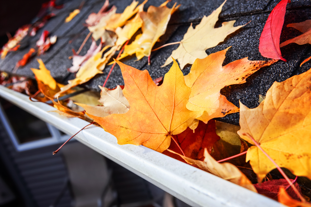 5 Fall Roofing Best Practices